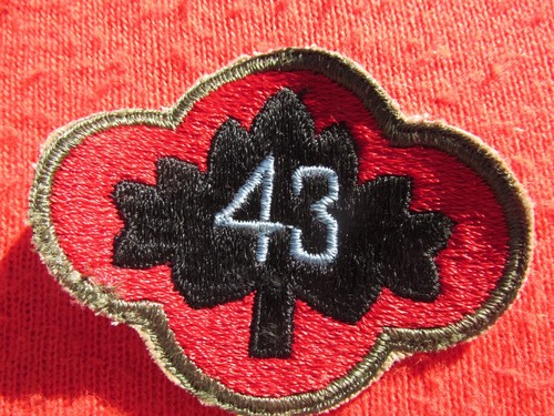 US Army 43rd Division patch cut edge fully Embroidered no glow ...