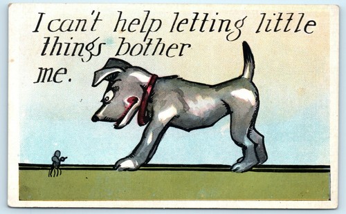 POSTCARD I Can't Help Letting Little Things Bother Me Comical Dogs ...