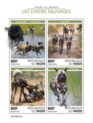 Niger 2019 MNH Wild Animals Stamps African Wild Dogs Fauna 4v M/S | eBay