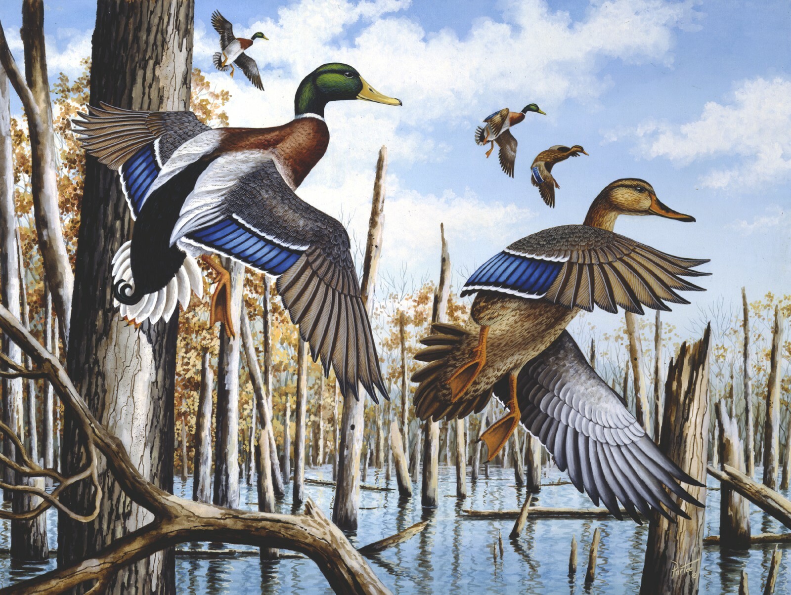 JAMES PARTEE JR. WATERFOWL ART, CACHE RIVER GREENHEADS 12x15 L/E S/N ...
