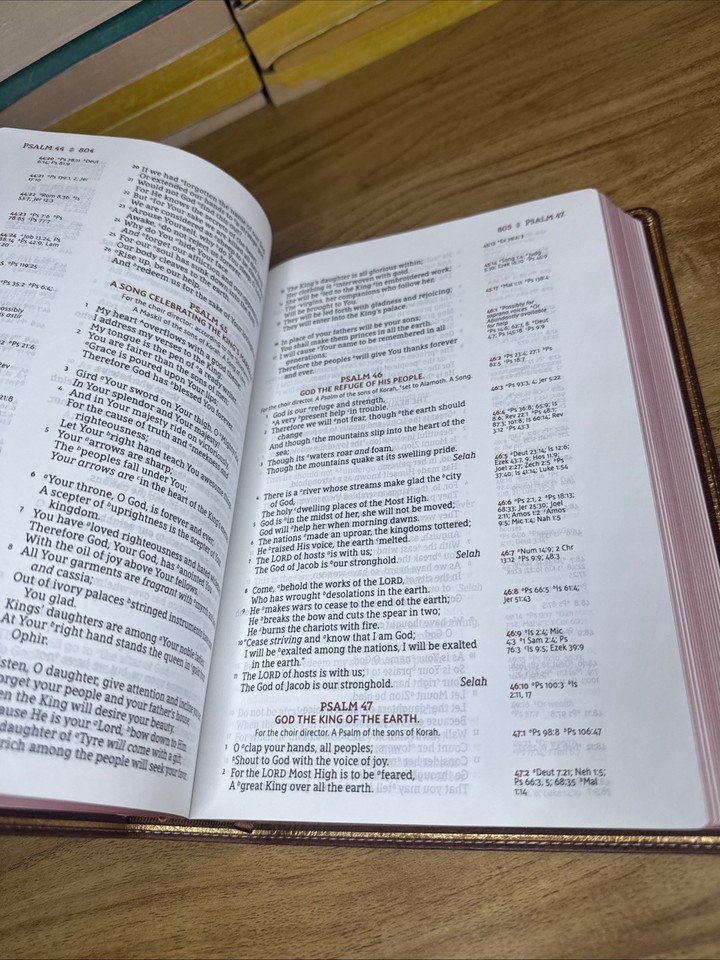 NASB Single Column Reference Bible Large Print Zondervan 2020 Gilt ...