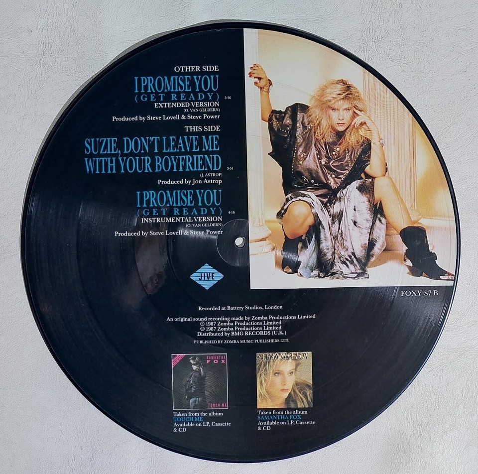 I114382 LP 33 giri Picture Disc - Samantha Fox - I Promise you (Get ...