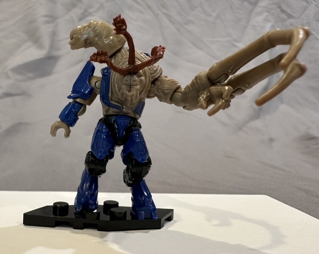 Halo Flood Elite Combat Form Flood | Halo Alpha | Fandom