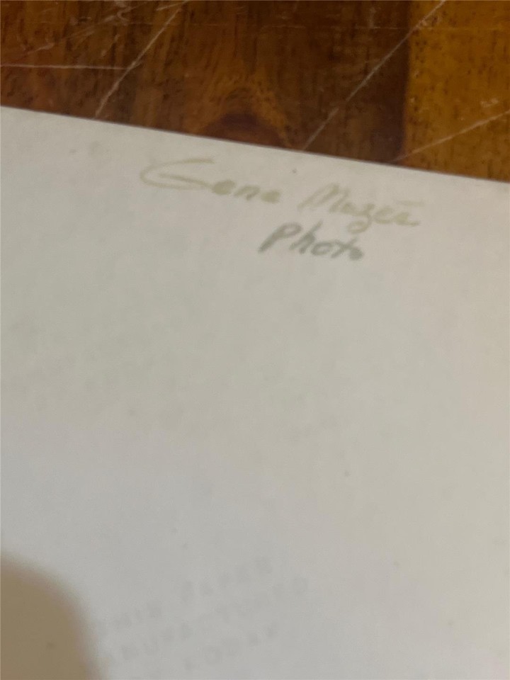 GEORGE SHEFFIELD bodybuilding muscle ORIGINAL Contest photo by Gene ...