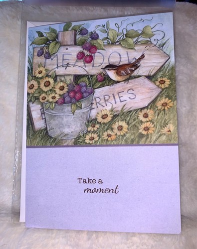 Get Well Soon Encouragement Greeting Card Meadow Berries Bird Susan ...