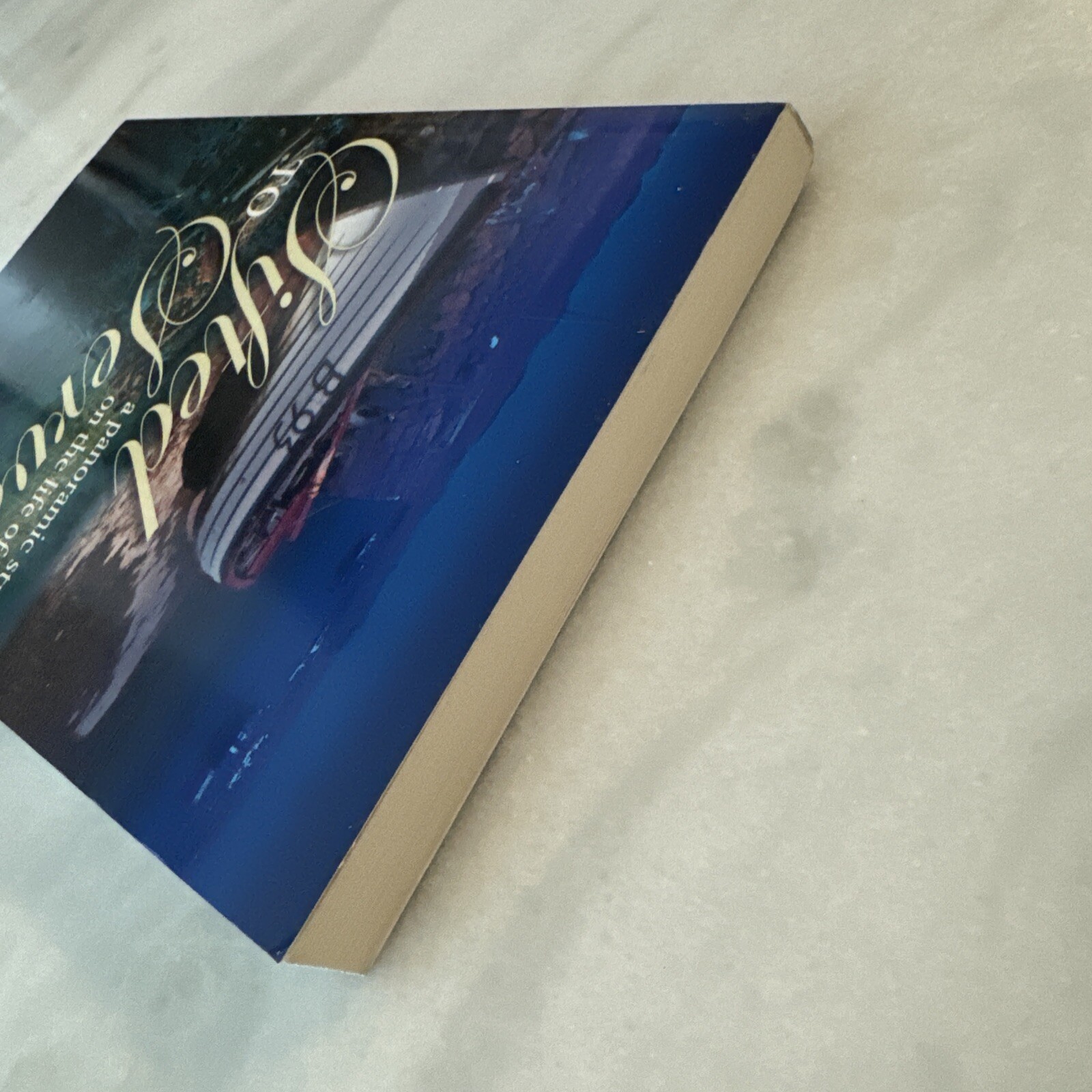 Sifted To Serve A Panoramic Study On The Life Of Peter | eBay