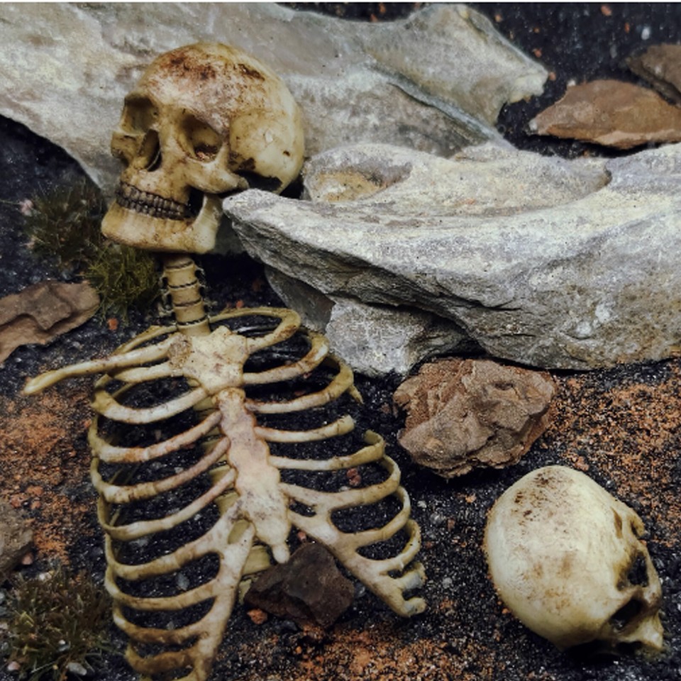 1/6 Scale Human Beings Skeleton PVC Model for 12" Action Figure ...