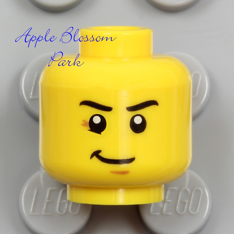 NEW Lego Ninjago MINIFIG HEAD - Robot Cyrus Borg w/Alien Cyborg Monster ...