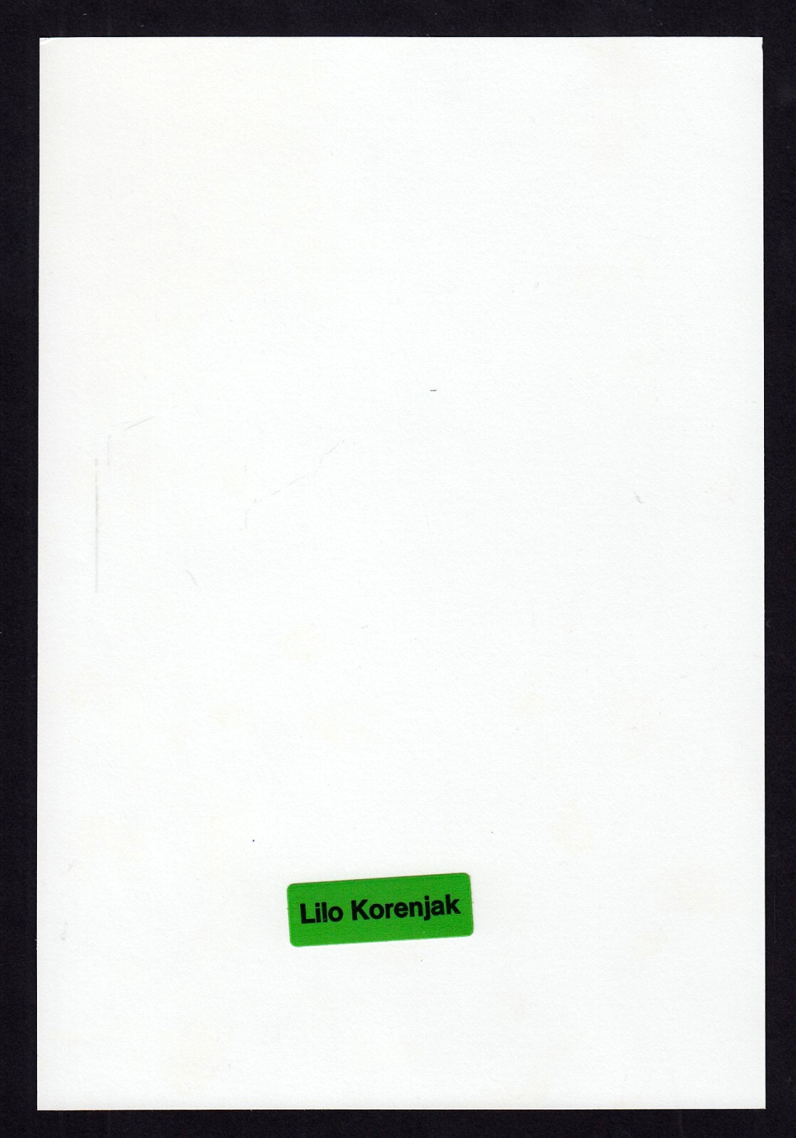 LANGHAARIGE - FAST NACKT Aktfoto * 70s "L" LILO KORENJAK Vintage Erotik Foto #1 | eBay