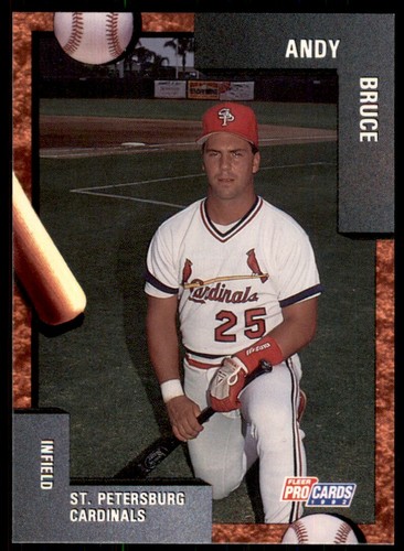 1992 Fleer ProCards Andy Bruce St. Petersburg Cardinals #2033 | eBay
