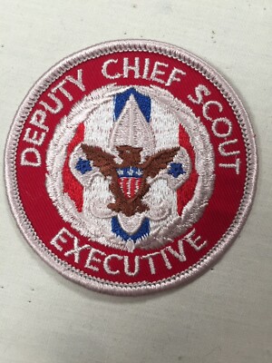 Deputy Chief Scout Executive Gauze plastic back adult BSA Position ...