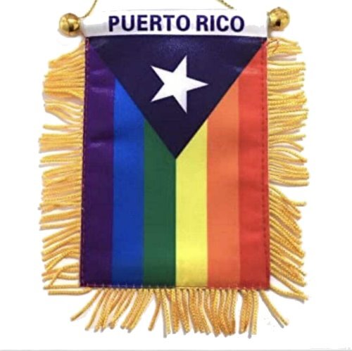 Puerto Rico Flag In LGBTQ+ Mini Banner 5 x 7 Flag Car Window Hanger ...