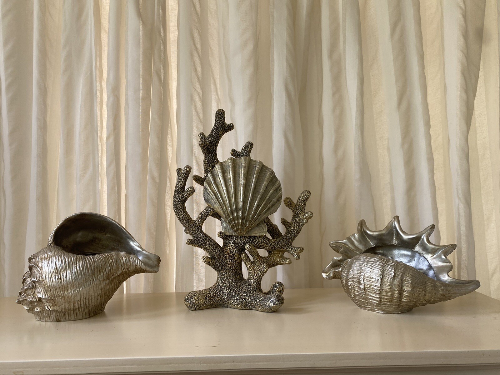 Large Decorative Shells 3pc Set | eBay
