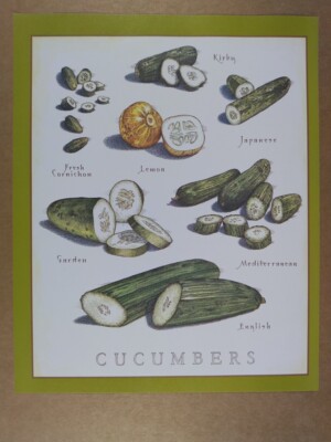 CUCUMBERS Cooks Illustrated Magazine BACK COVER ONLY Frameable Art | eBay