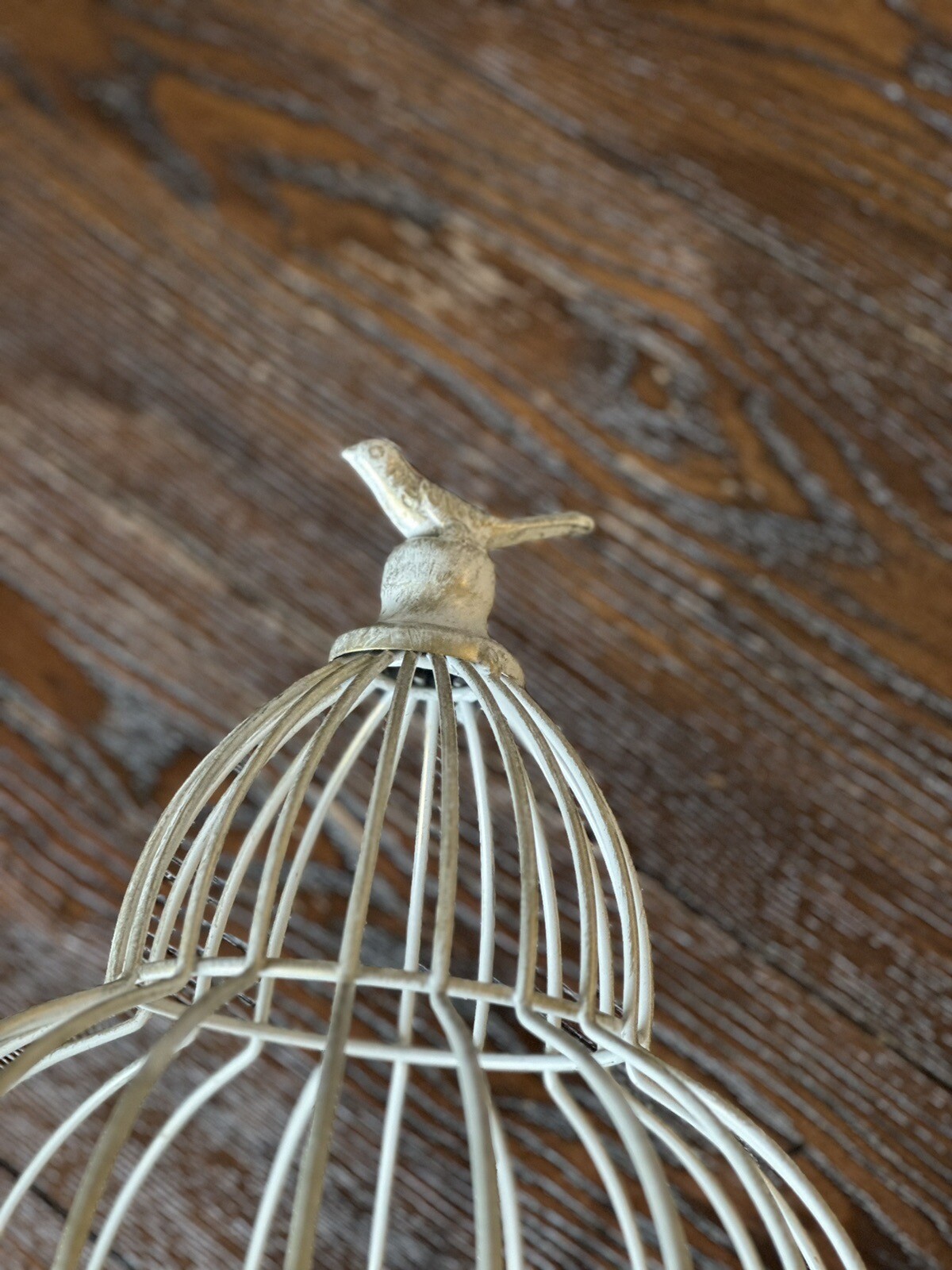 Medium Rustic Metal Bird Cage Bird Finial Cream Color Latch Opening ...