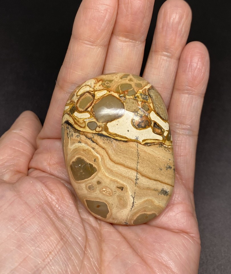 Gorgeous Leopardite Jasper Palm Stone From Peru 88g RARE LAST ONE | eBay