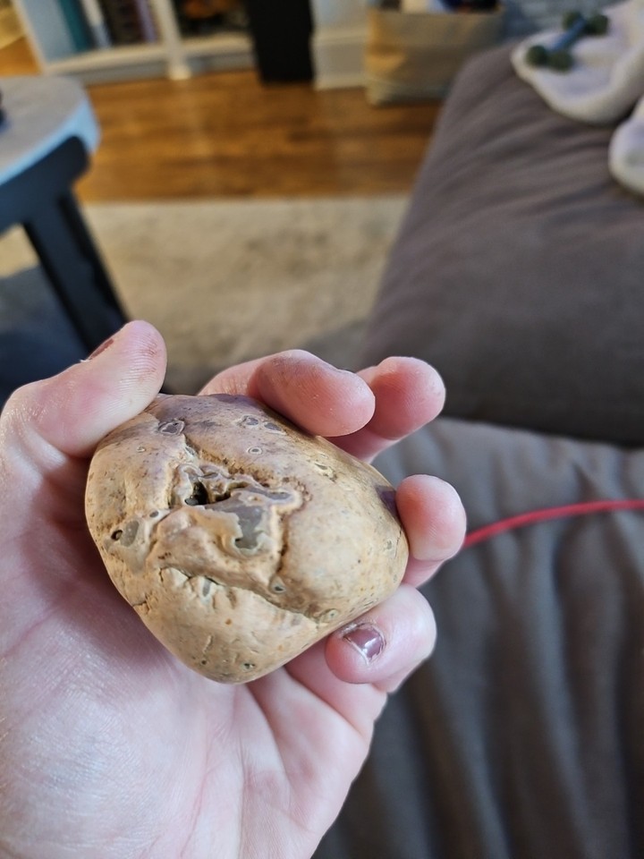 TN Chert Nodule with drusy quartz pocket and fossil inclusions. Weighs ...
