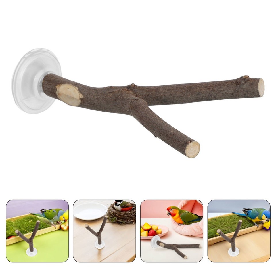 Suction Cup Bird Perch: Natural Wood Branch for Windows Mirrors Bath ...