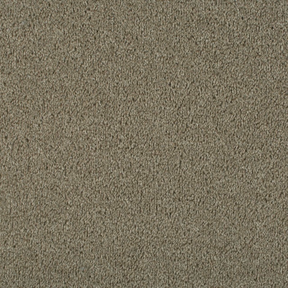 Beige Carpet Cheap Beige Carpets Loop Twist & Saxony Pile Beige Carpets ...
