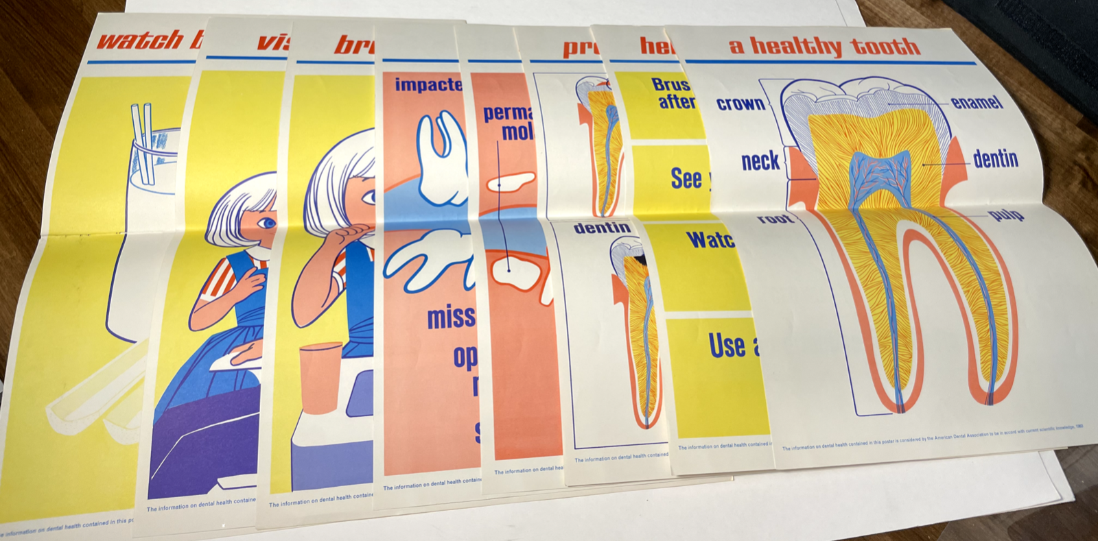 8 Vintage 1963 American Dental Association Posters ADA 17" x 13" Teeth ...
