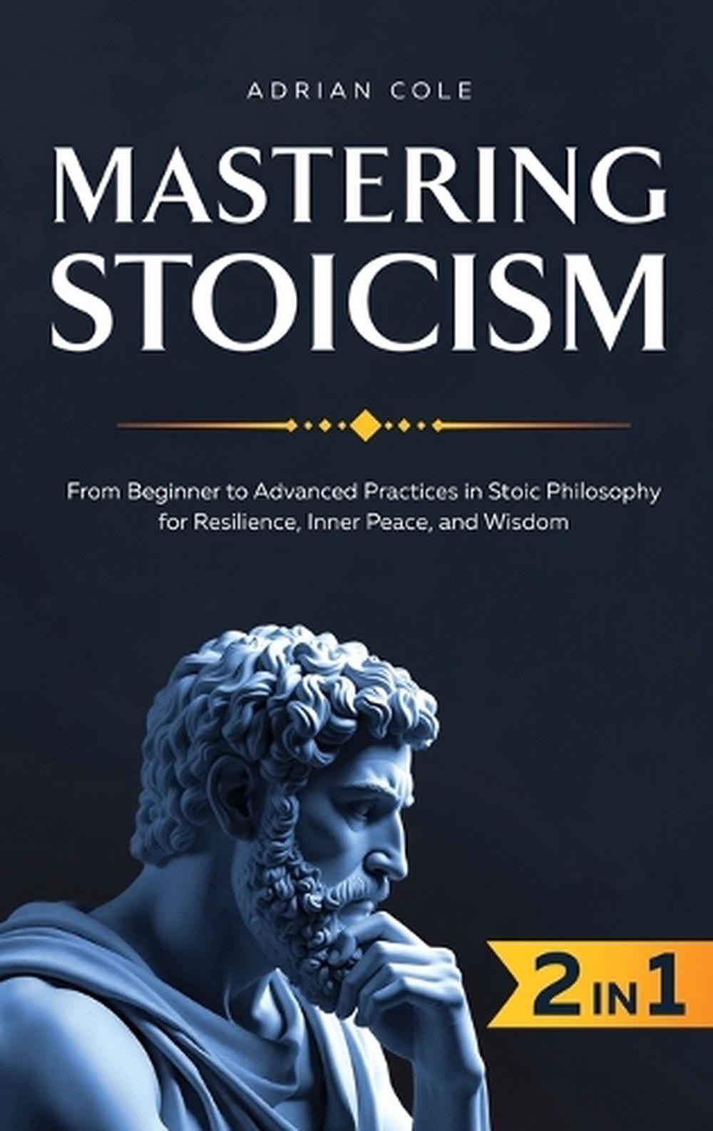 Mastering Stoicism: From Beginner to Advanced Practices in Stoic ...