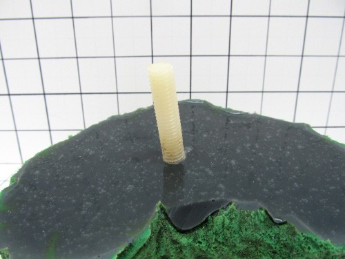 Large Tabletop Acro Coral Decoration #160 made to order | eBay