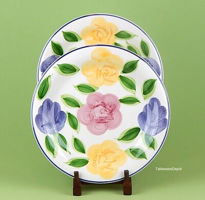 Tabletops Unlimited FLORA DI ROMA Set of 2 Dinner Plates, MINT & NEAR ...