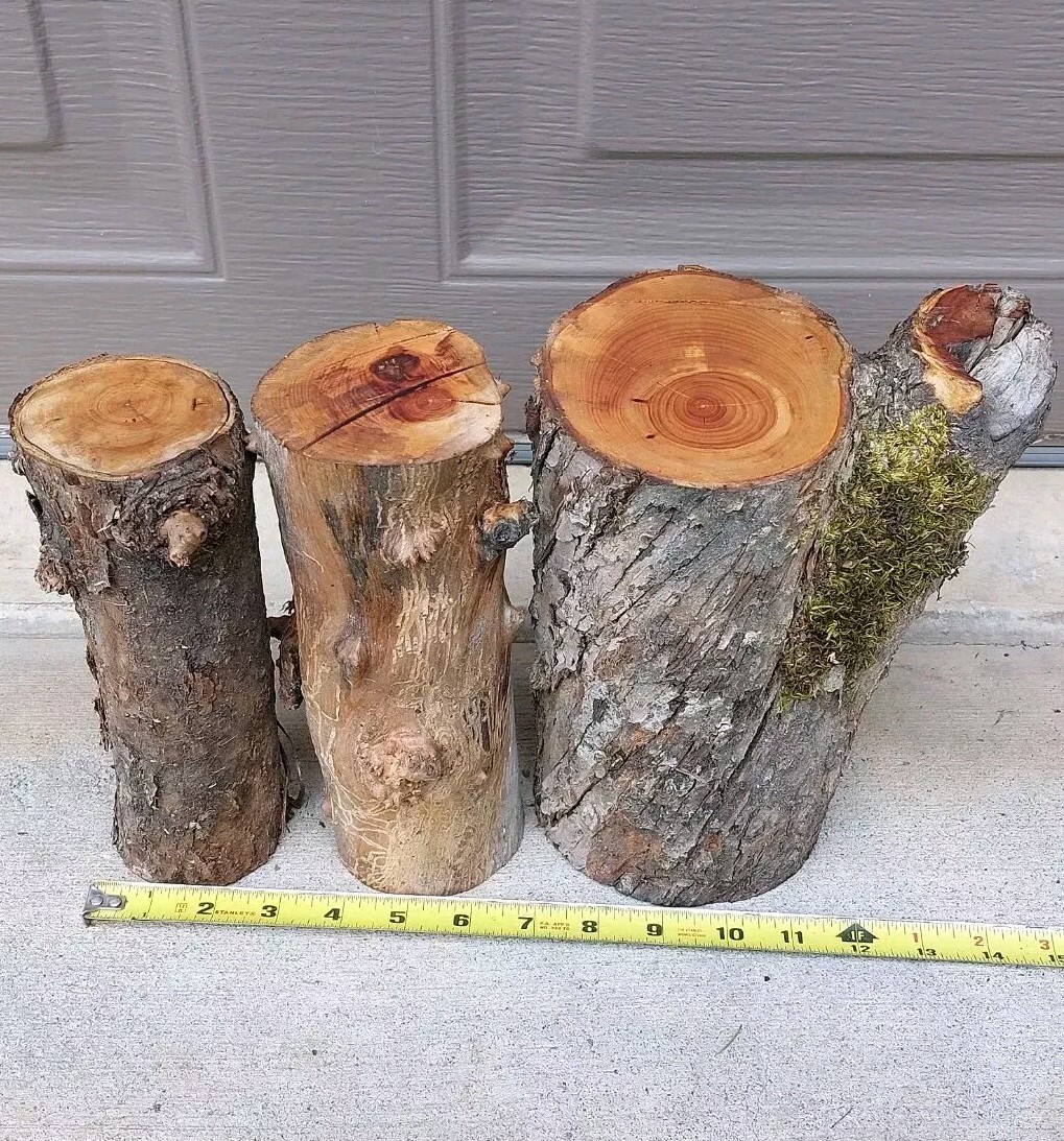 3 Apple Wood Logs/Rounds Seasoned 8+ Months - 🔥 Salvaged (L846) | eBay