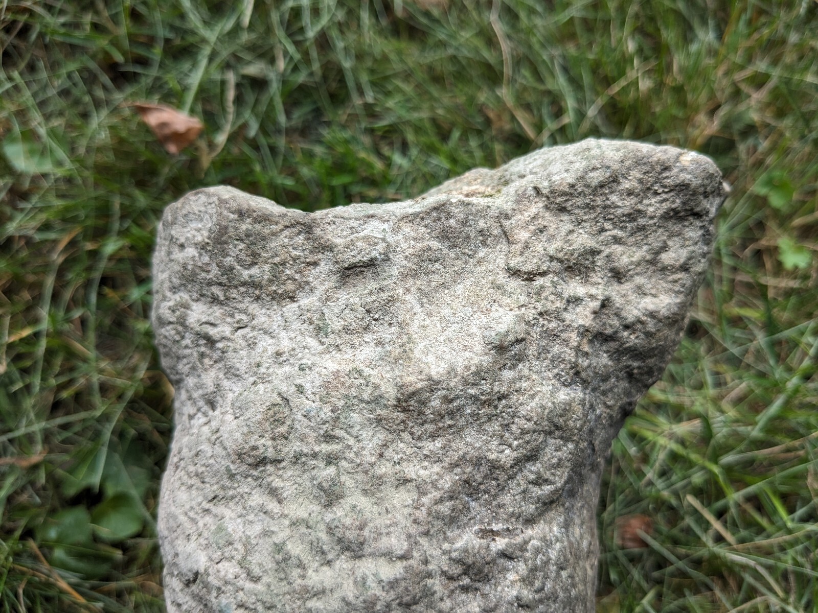 Real Dinosaur Head Fossil Intact With Skin (Scales) Preserved One Of A ...