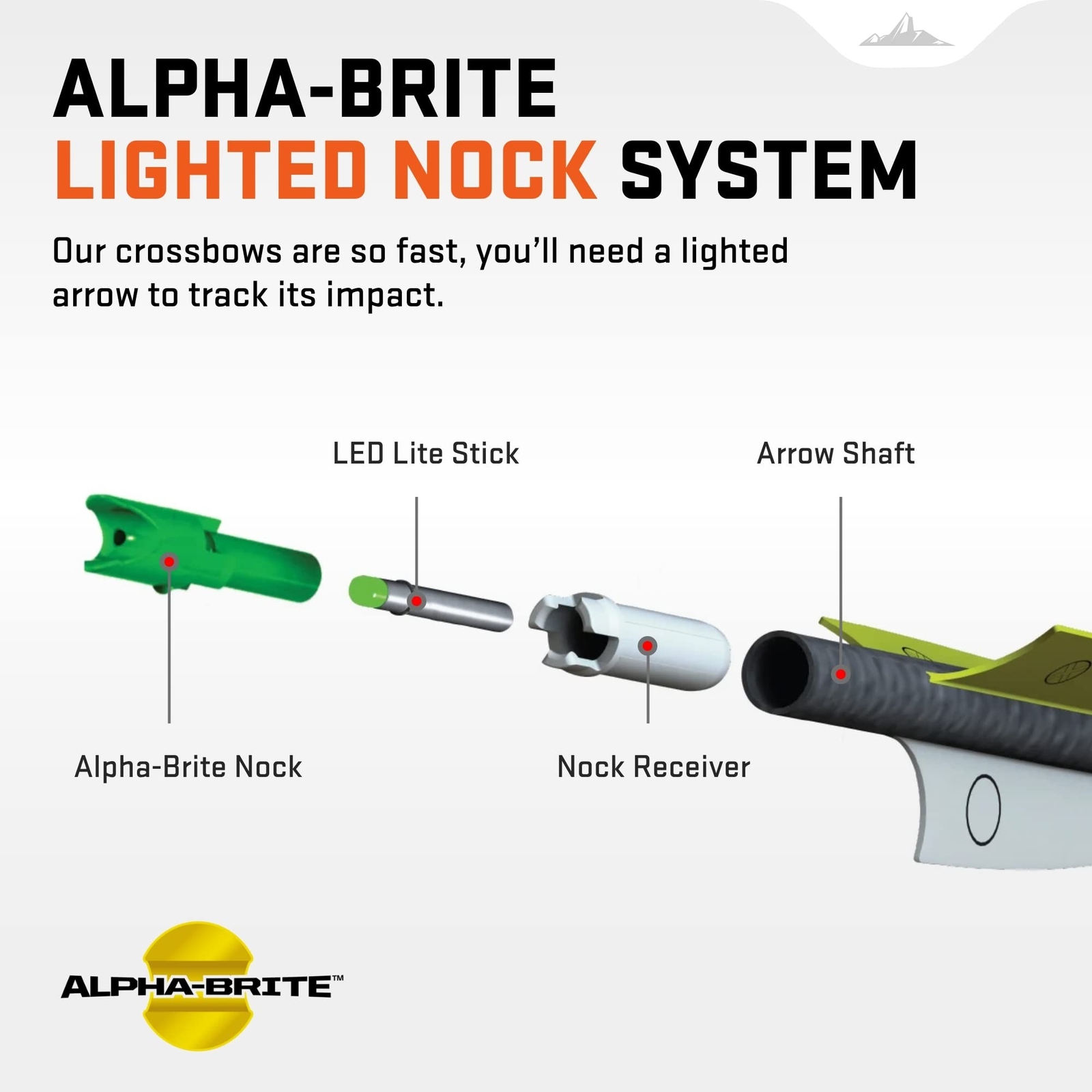 Wicked Ridge XX75 Crossbow Arrows 20" .003 3 Pack Alpha Brite ...