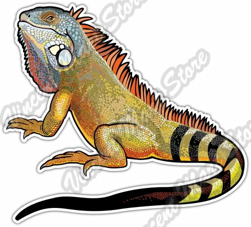 Green Iguana Lizard Tropical Animal Car Bumper Window Vinyl Sticker ...