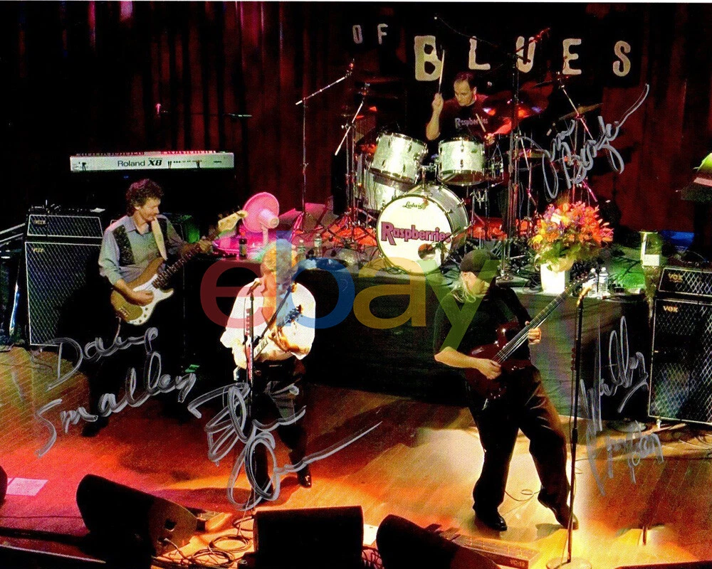 The Raspberries Band