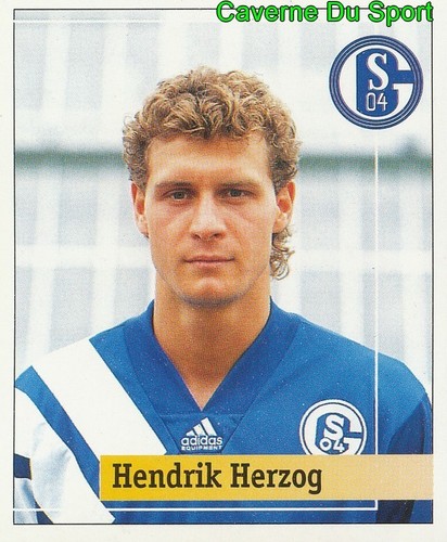 149 HENDRIK HERZOG GERMANY FC SCARKE 04 STICKER FOOTBALL 1995 PANINI | eBay