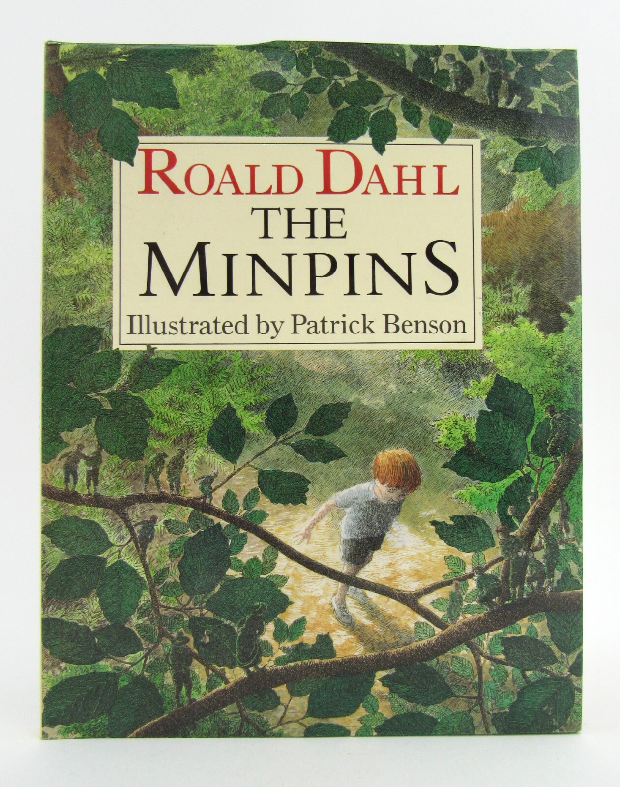 THE MINPINS Roald Dahl & Patrick Benson 1991 Viking First Edition HBDJ ...