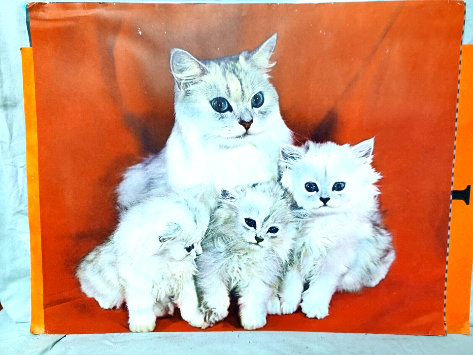 RED CAT Kittens OHIO STATE FAIR Premium PRIZE Poster GP16568 1961 15" x ...