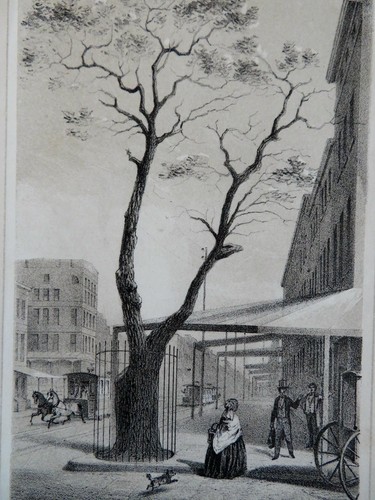 New York City 3rd Ave. & 13th Str. Old Pear Tree Street Scene 1861 ...