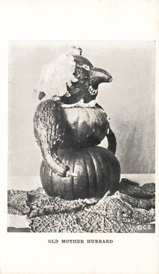 Postcard Vegetable Art Old Mother Hubbard Squash Cabbage Leaves Pumpkin ...