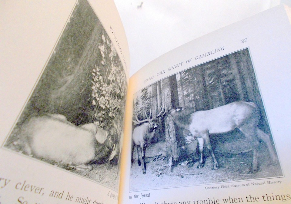 Book 1st Ed 1928 WINNEBAGO STORIES La Mere Shinn Rand McNally Arthur ...