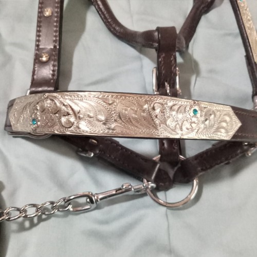 Showman Leather Show Halter w/ Engraved Silver & Aqua Rhinestones | eBay