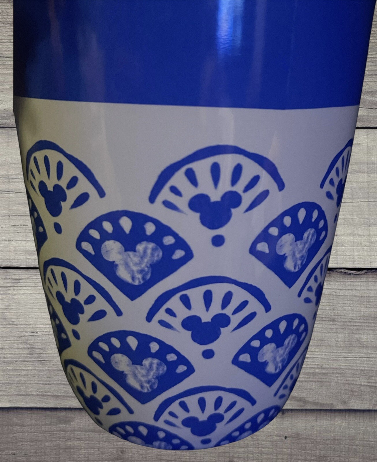 Disney Parks Homestead Succulent Artificial Plant in Blue Mickey Mouse ...