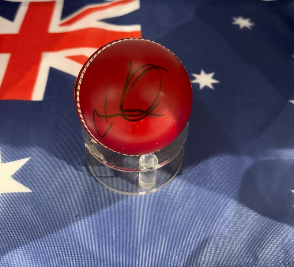David Warner (Australia) signed Red 156g Autograph Cricket Ball - New ...