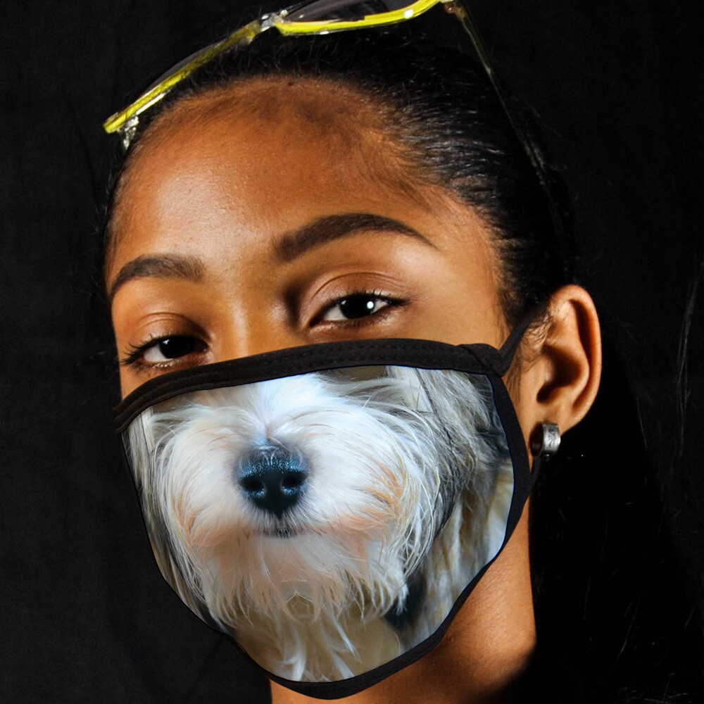 The Mask Dog Breed