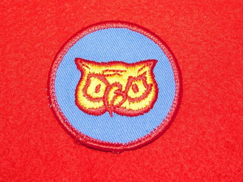 VINTAGE BSA BOY SCOUTS OF AMERICA PATCH OWL | eBay