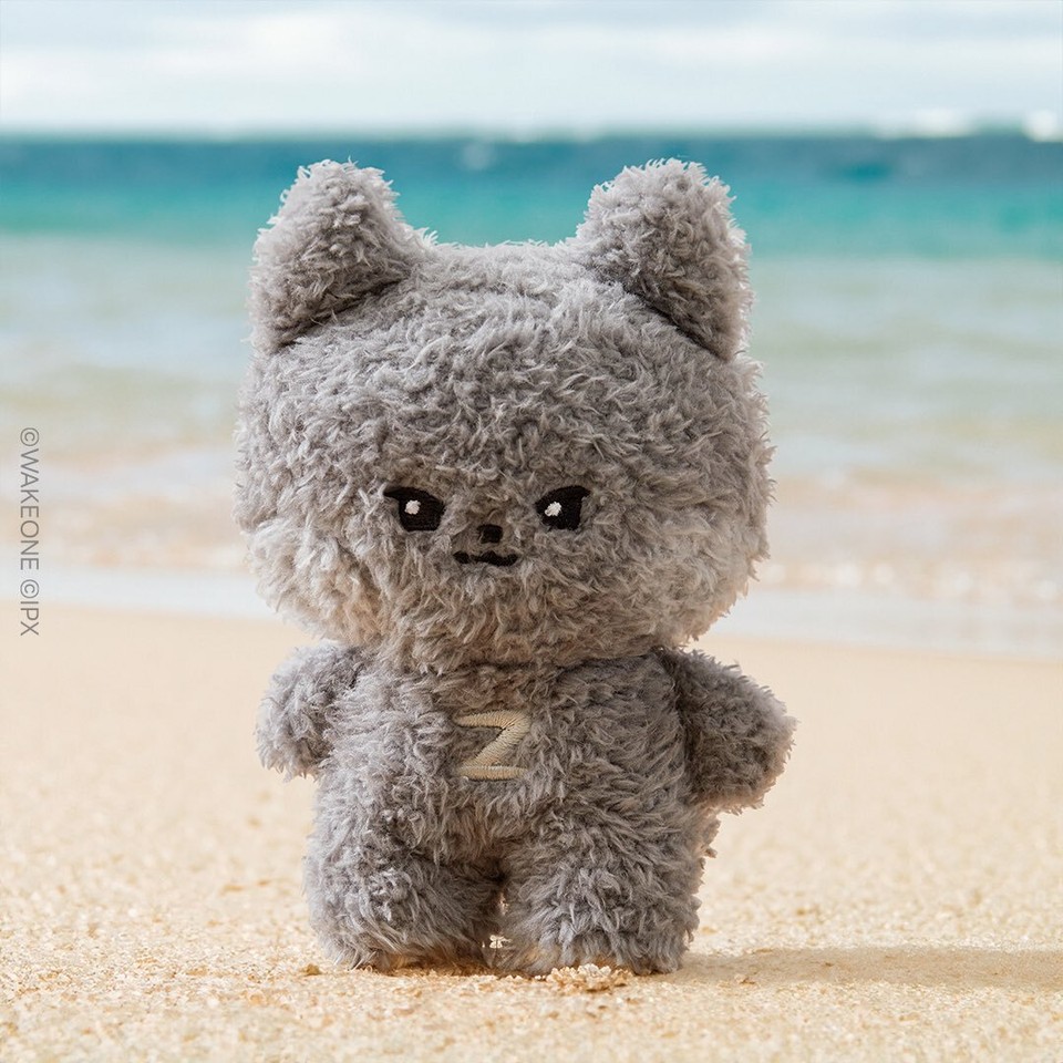 ZEROBASEONE ZB1 LINE FRIENDS OFFICIAL MD zeroni minini DOLL + PHOTOCARD ...