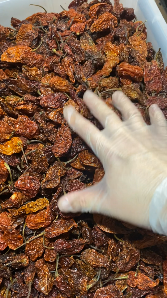 Dried Ghost Peppers, Bhut Jolokia Chili Peppers, Extremely Hot. 0.5 oz ...