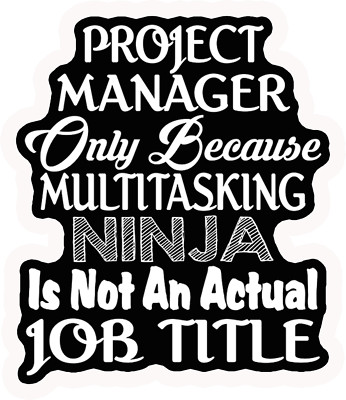 2 x Project Manager Multitasking Ninja Not Job Title - Novelty Car ...