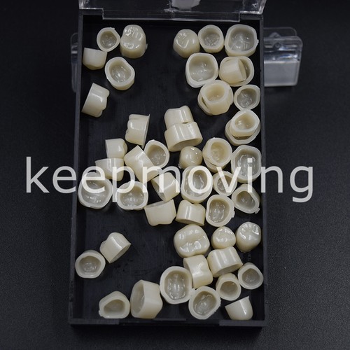 Dental Temporary Crowns Posteriors Molar Resin Tooth Teeth ...