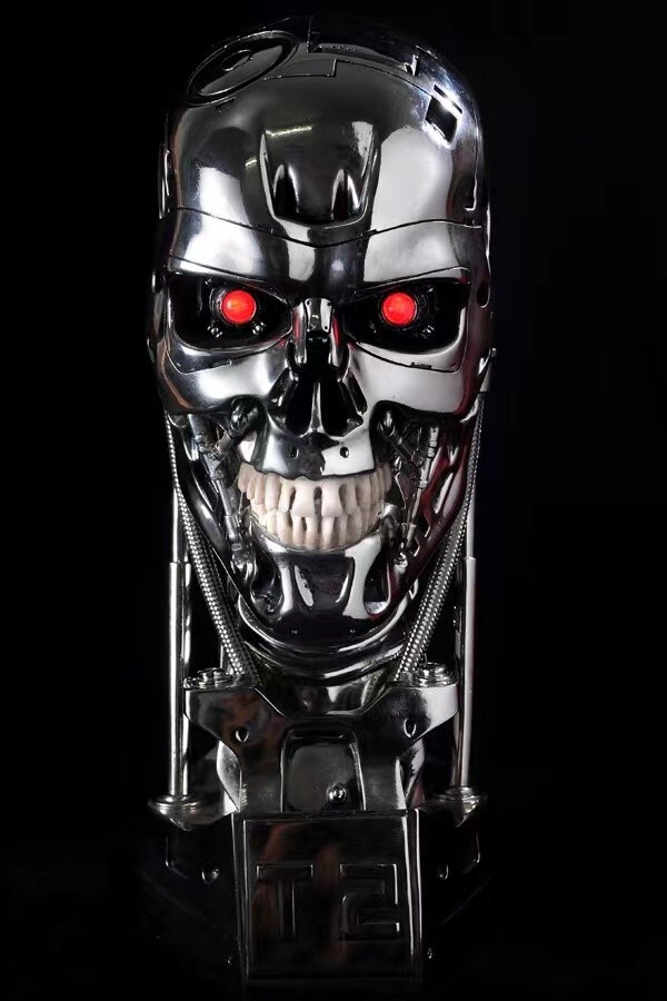 Terminator Endoskeleton Skull