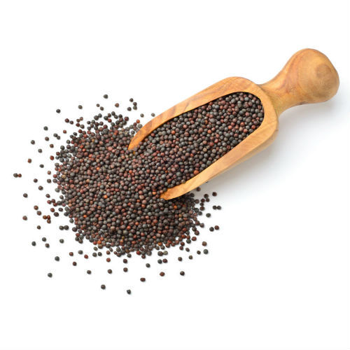 Indian Mustard Seeds