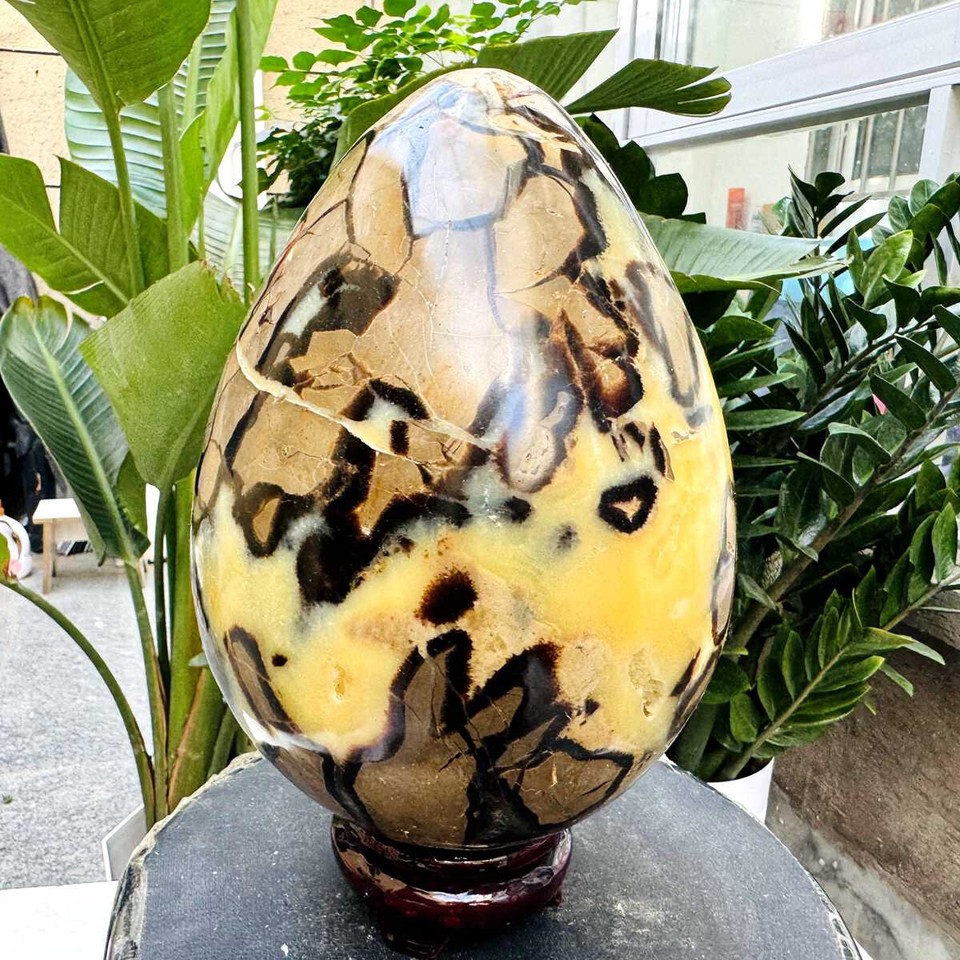 14.4LB Natural Turtle Back Stone Egg Shape Dragon Crystal Crack Mineral ...